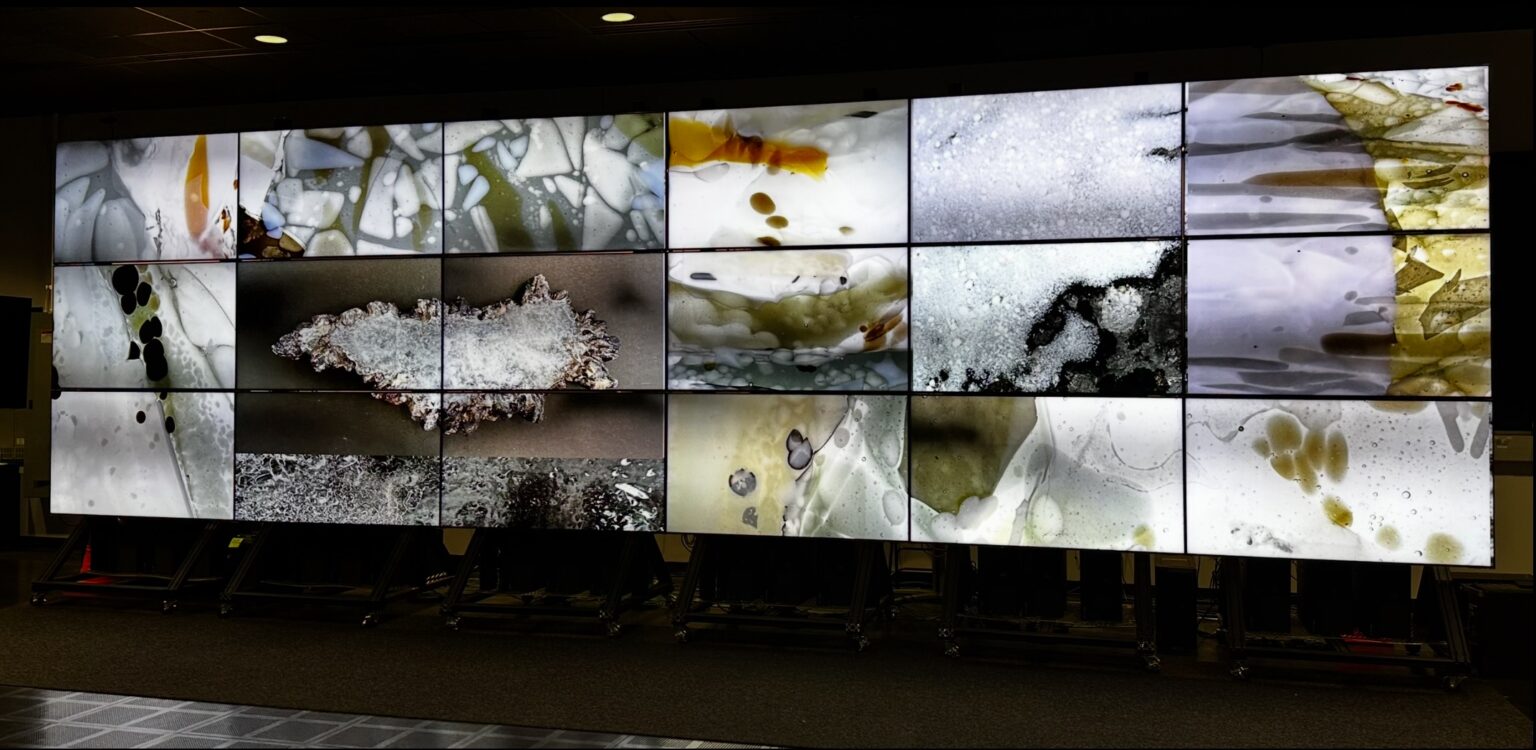 BEDROCK a multimedia exhibit