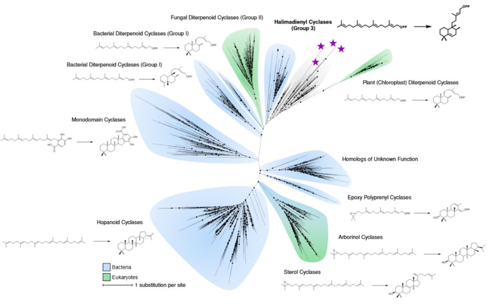 Baker Microbial Ecology and Evolution Lab – We use culture independent ...