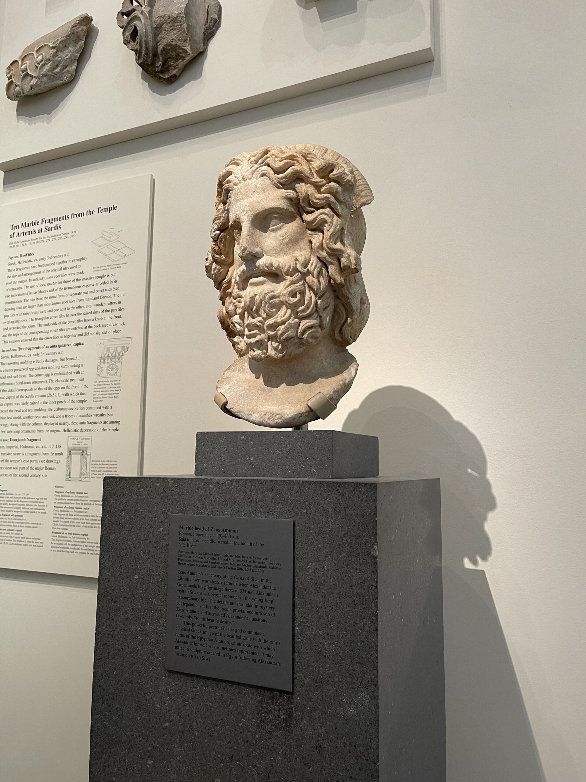 Zeus Ammon at the Met | Greek and Roman Myth on UT Campus