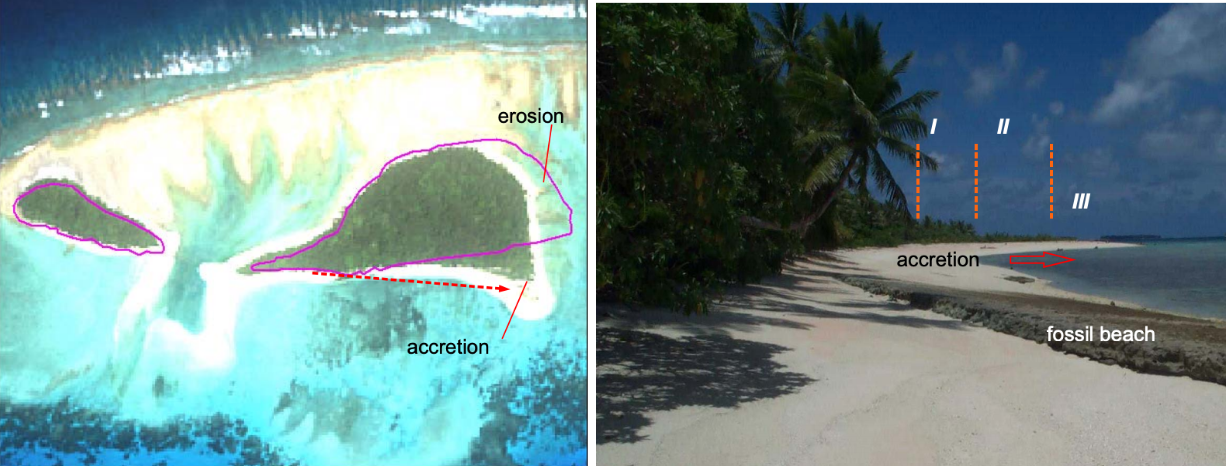 Shrinking Shores? – Ocean Dynamics and Customizing Adaptation Plans
