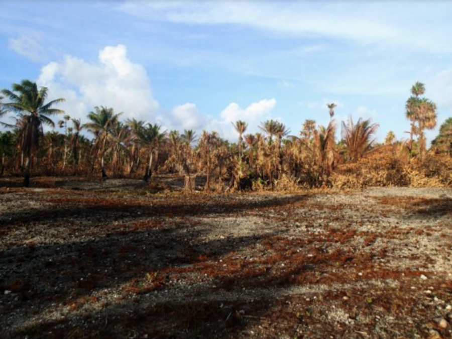 Climate Security in Oceania – Page 3