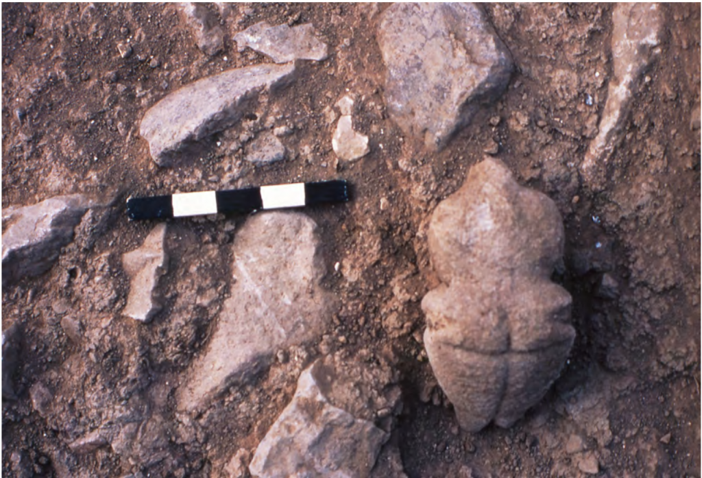 A Stone Metaphor Of Creation | Denise Schmandt-Besserat