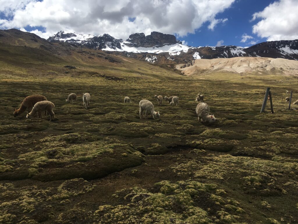 ESHI has a new website!