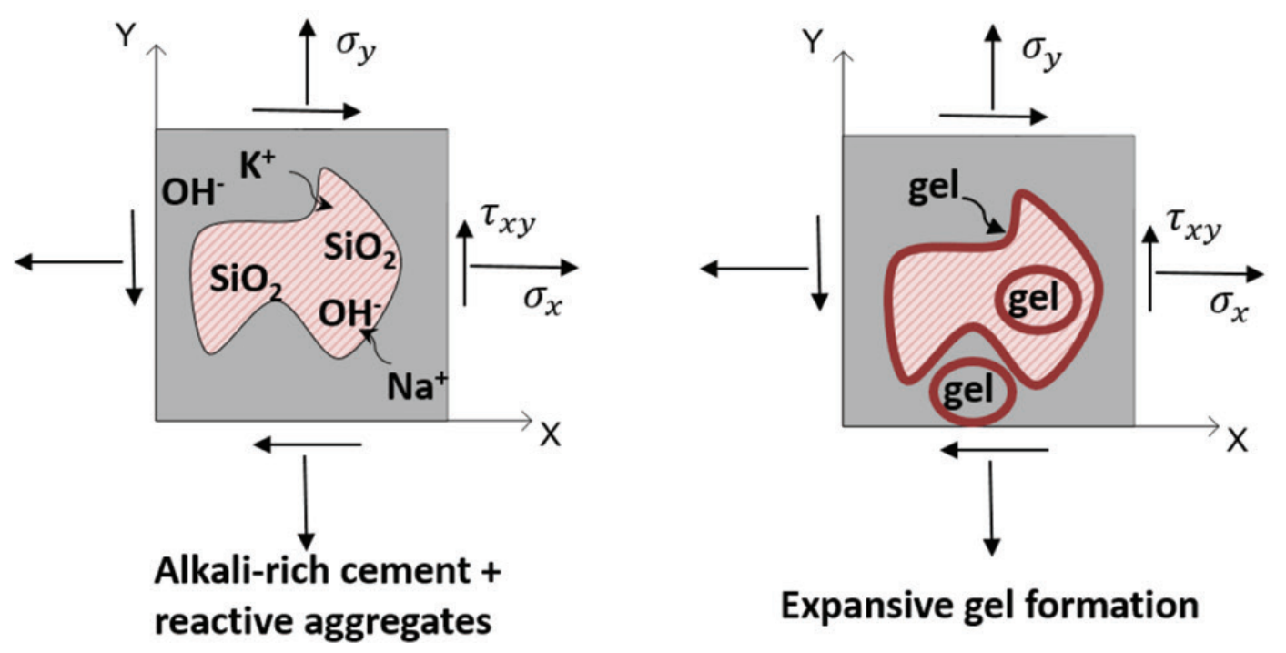 Dr. Ferche's Research Group