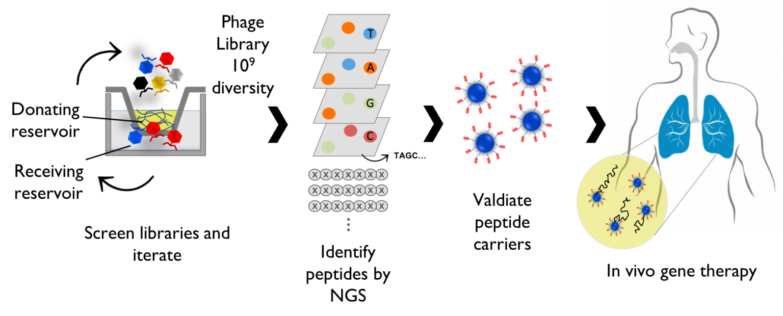 Projects | The Ghosh Lab at UT-Austin