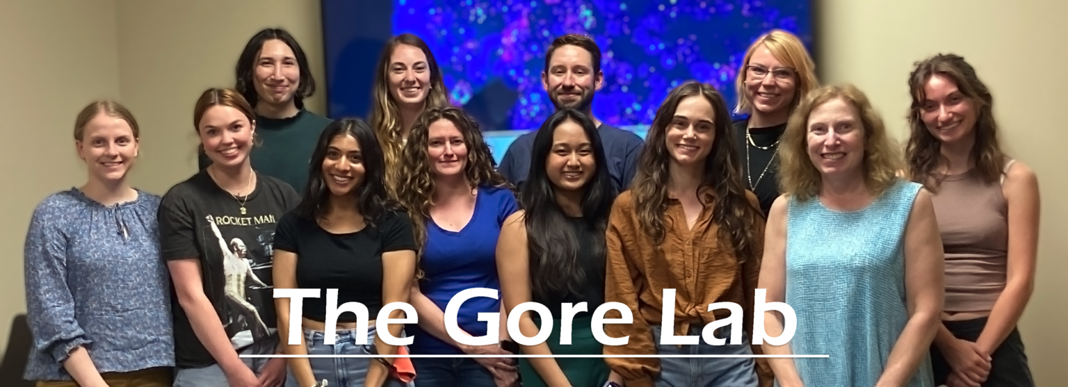 The Gore Lab – Gore Lab, Division of Pharmacology and Toxicology, The University of Texas at ...