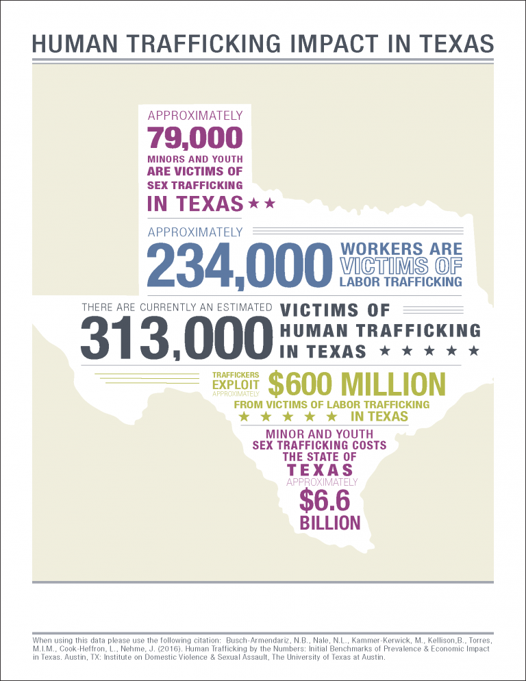 Statewide Human Trafficking Mapping Project for Texas (2016) – IDVSA