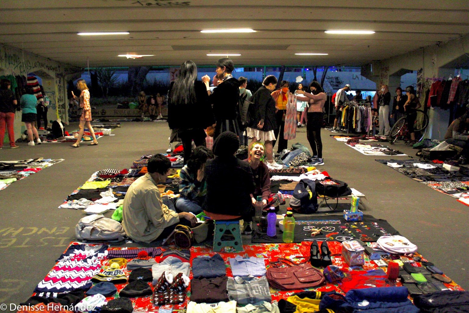 La Tianguis Disidente in Mexico City | Critical Perspectives on ...