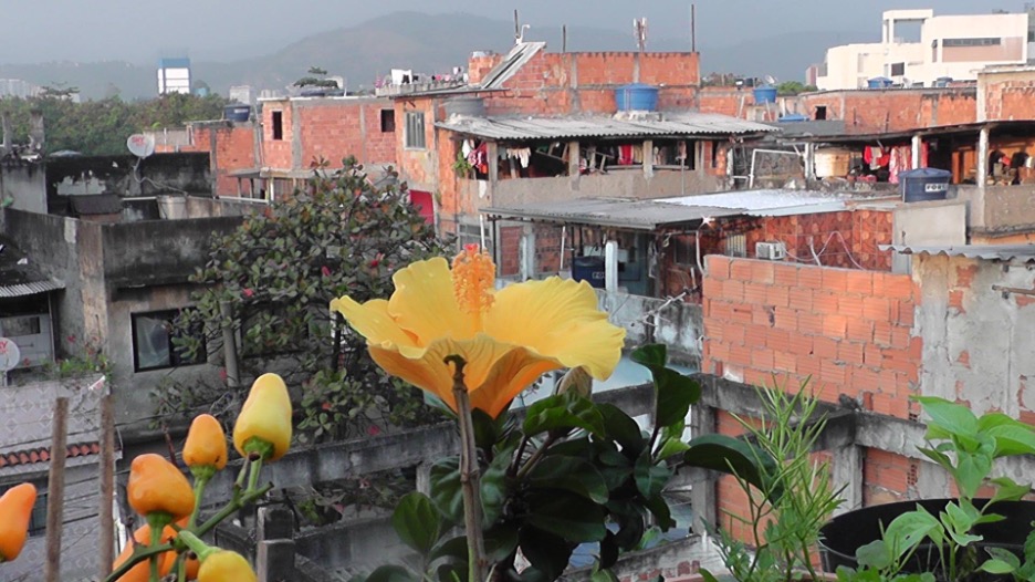 Green Roof Favela | Critical Perspectives on International Planning