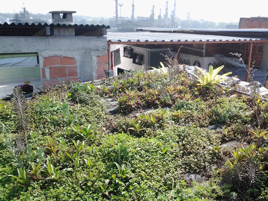 Green Roof Favela | Critical Perspectives on International Planning