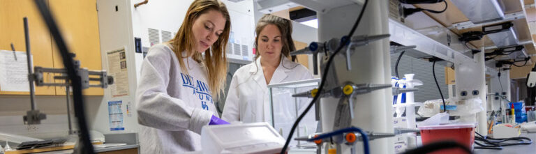 Positions Available | Colgin Lab