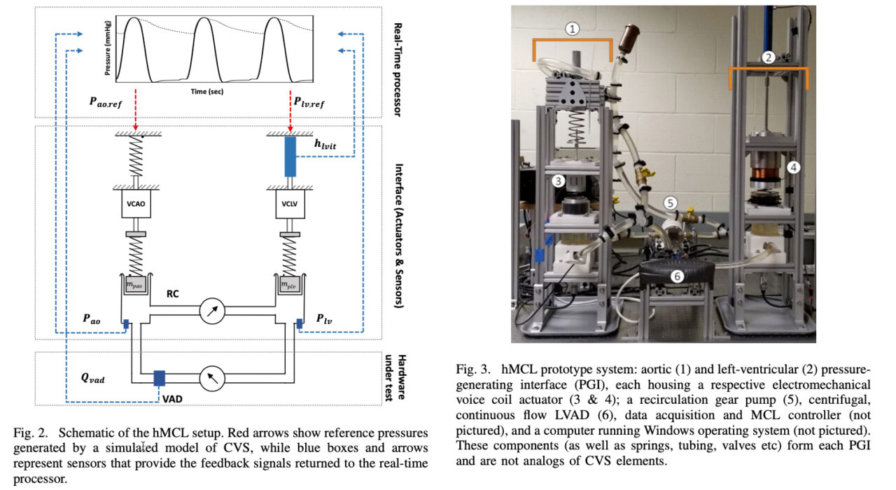 System Modeling, Estimation, and Control for Cardiovascular Systems ...