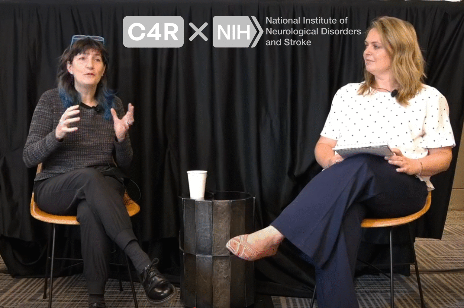 Showcase – The Micky Marinelli Lab