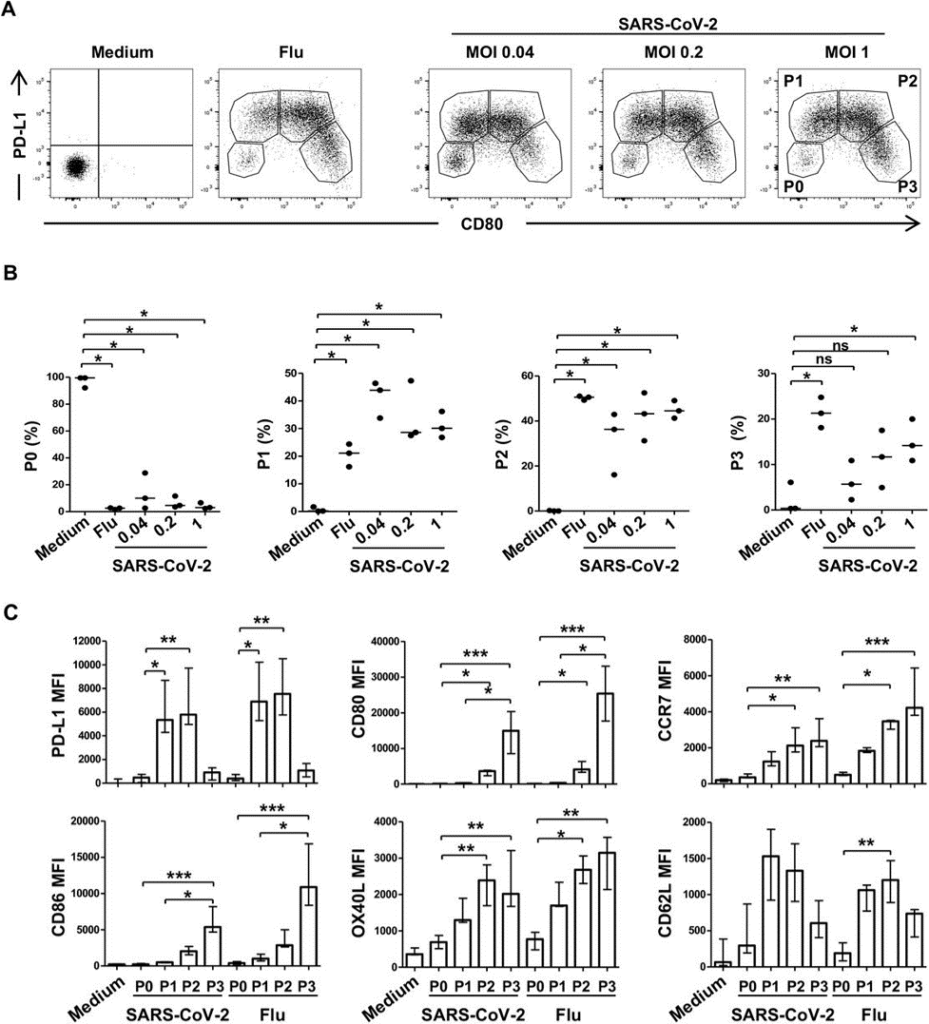 SARS-CoV-2 Induces Activation and Differentiation of Plasmacytoid ...