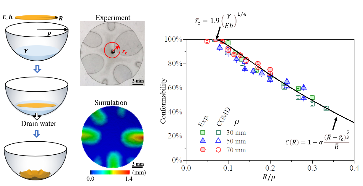 Publications – Lu Research Group