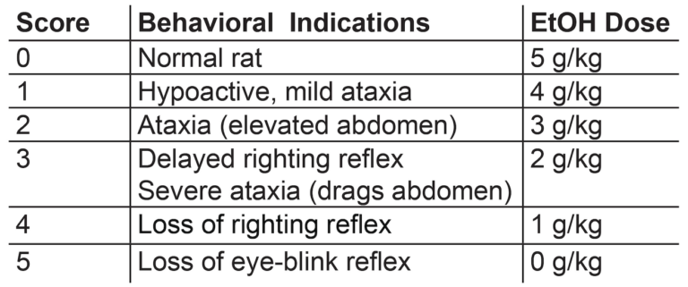 The “Majchrowicz” Binge Model of Ethanol Administration