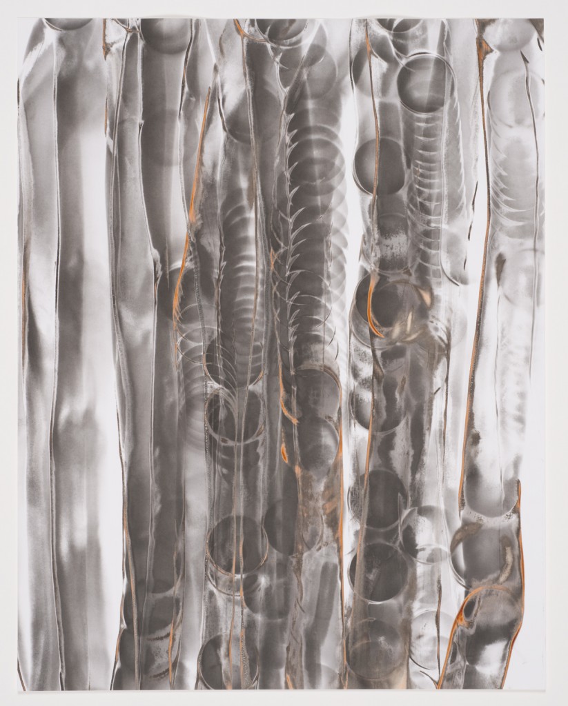 Marco Breuer on the photograph as object