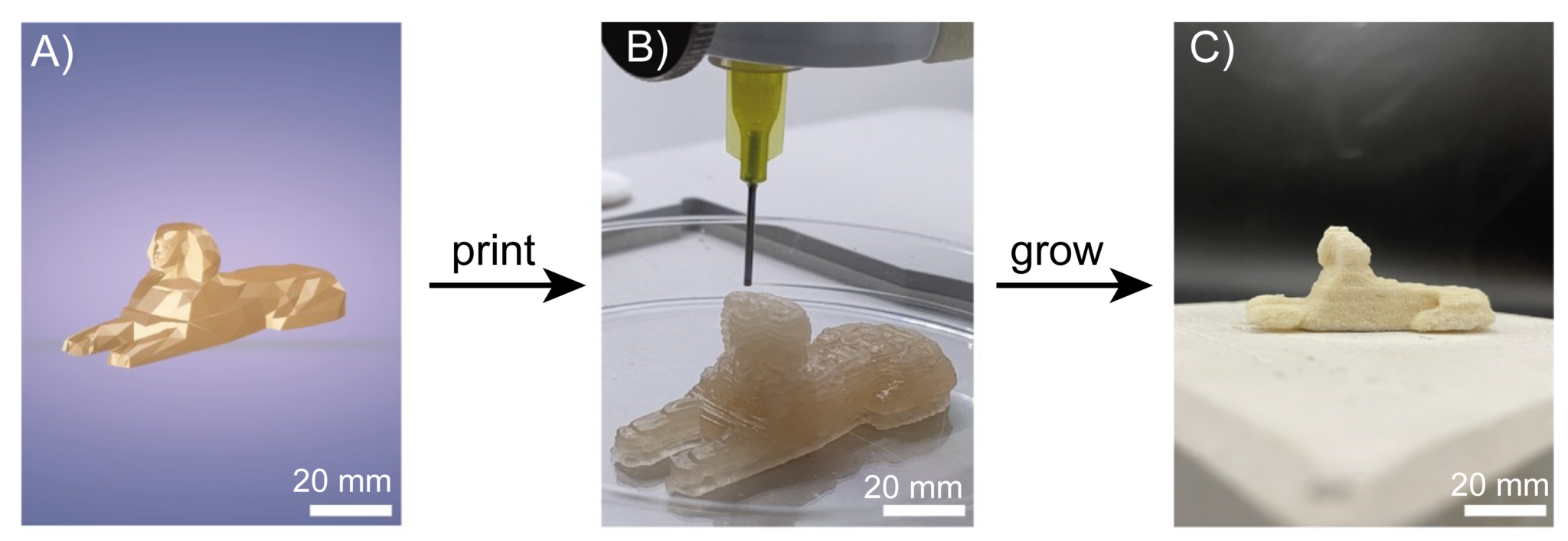 Living Building Materials (LBMs) | Bio-Geotechnics (BiG) Research Group