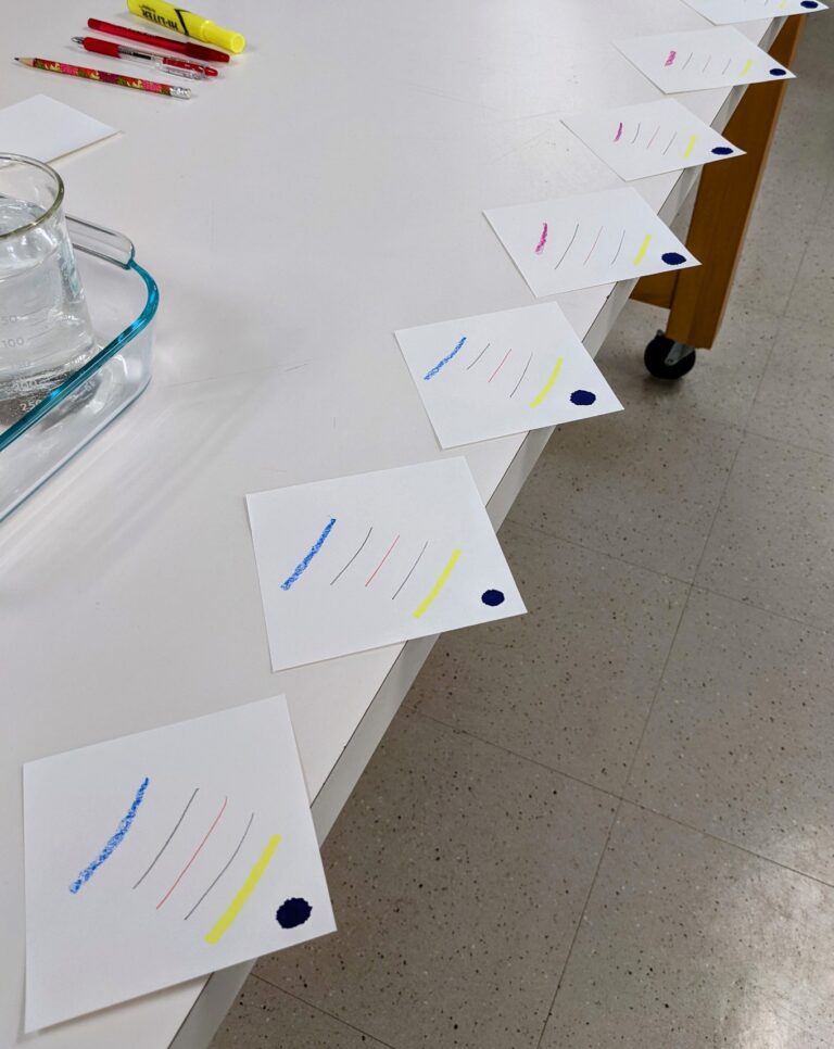 Media Testing | Sarah Norris