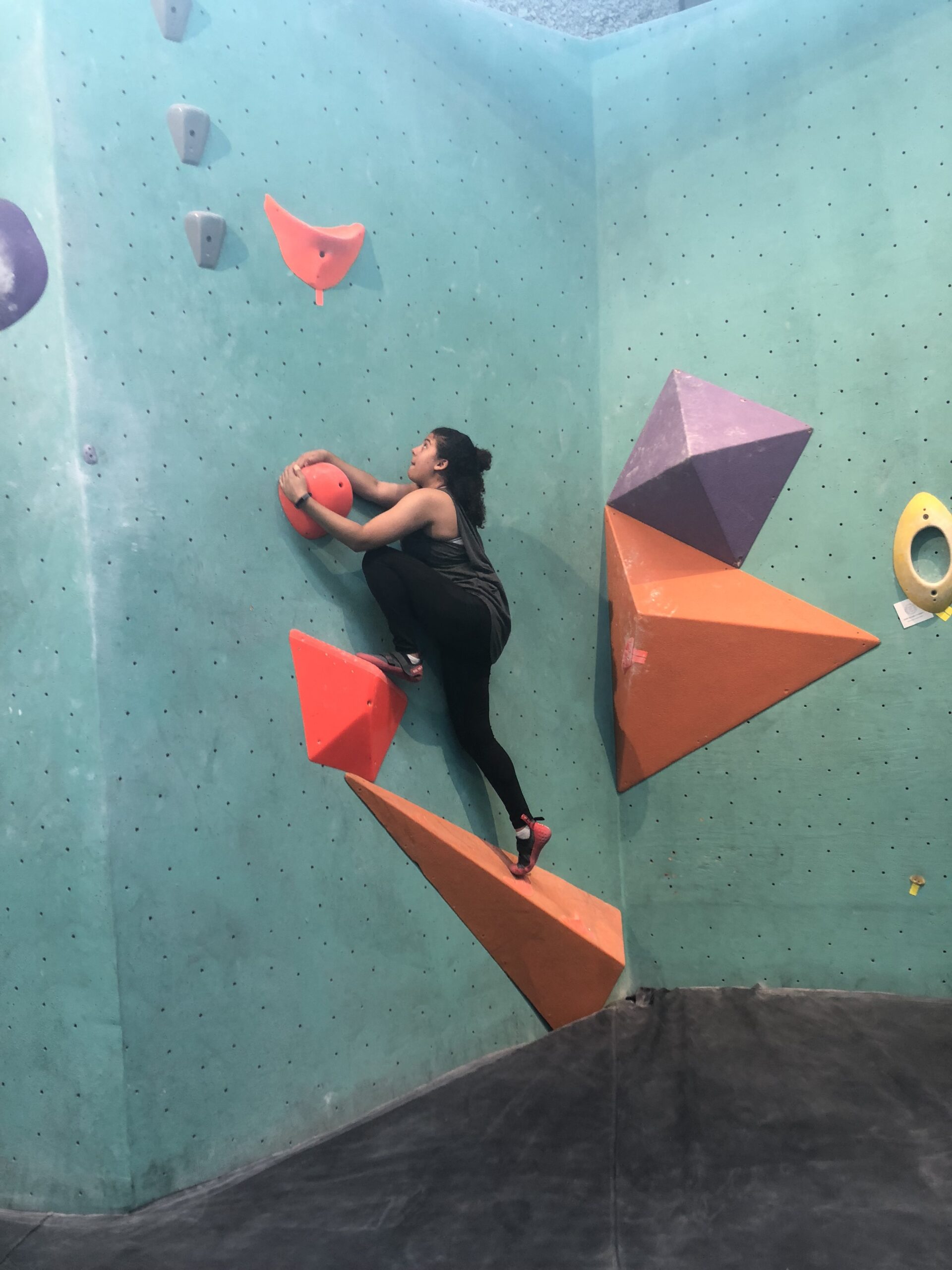 Austin Bouldering Project – The Biomedical Engineering Society at The ...