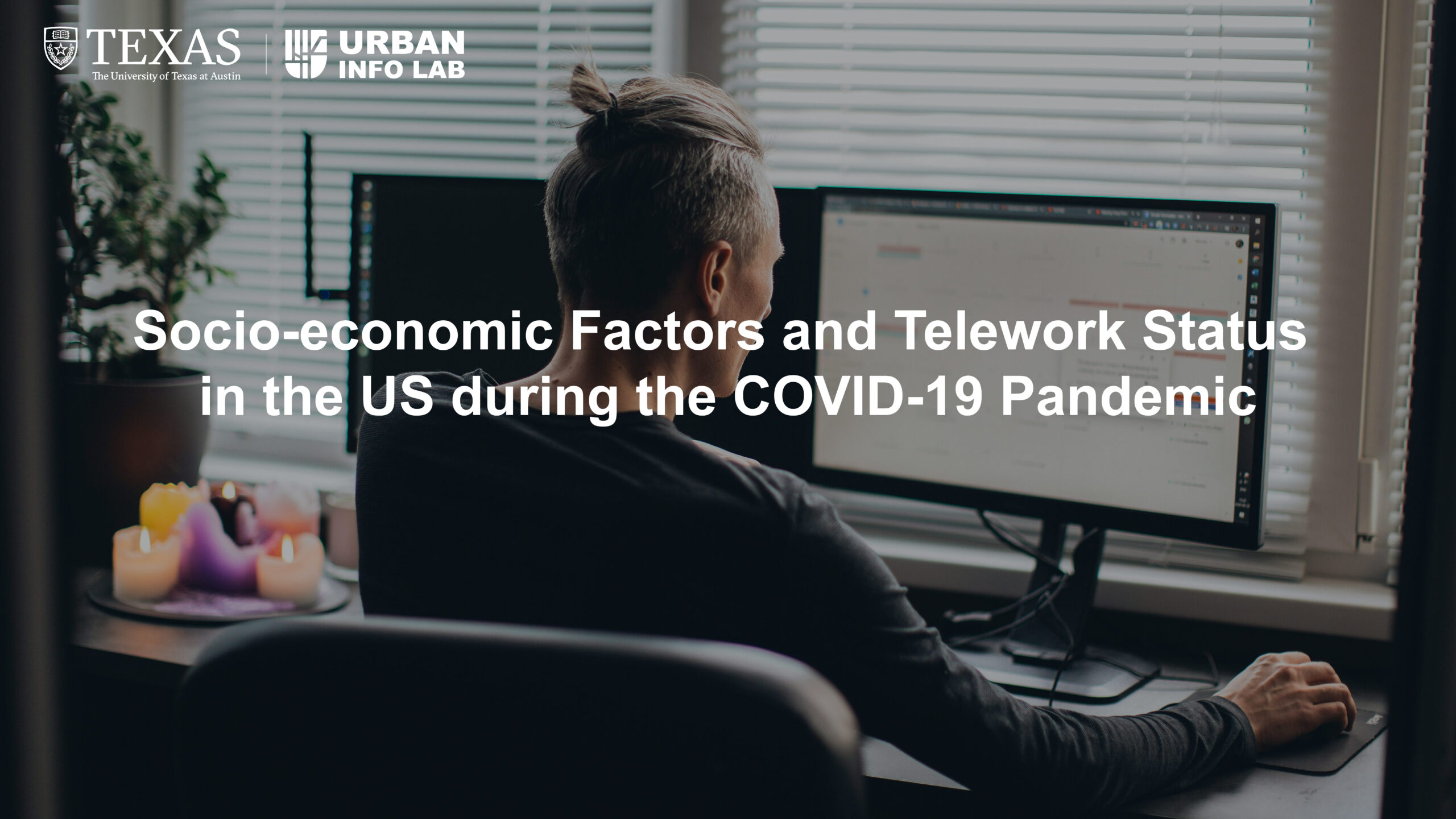 Socio-economic Factors and Telework Status in the US during the COVID ...