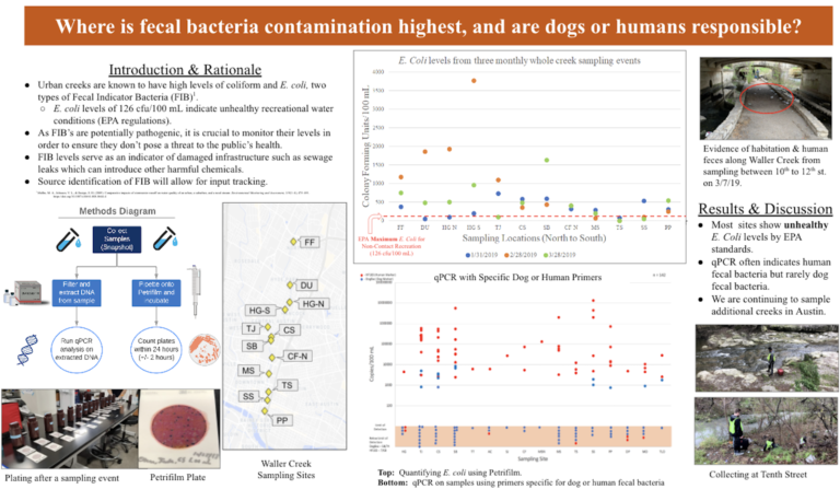 Fecal Indicator Bacteria Microbial Source Tracking Fib Mst