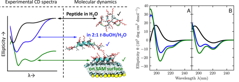 Molecular Dynamics Simulations